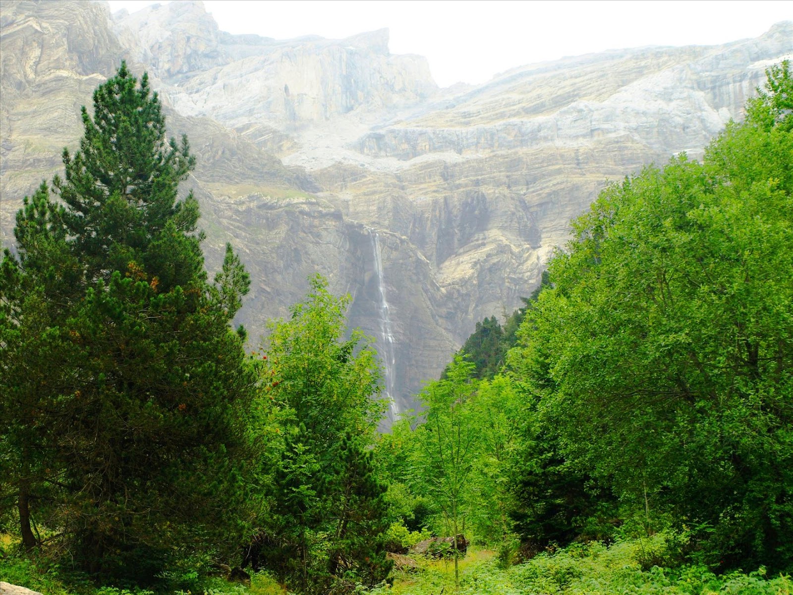Best Pyrenees Photos: Forest Conservation - Gavarnie - Pyrenees - France