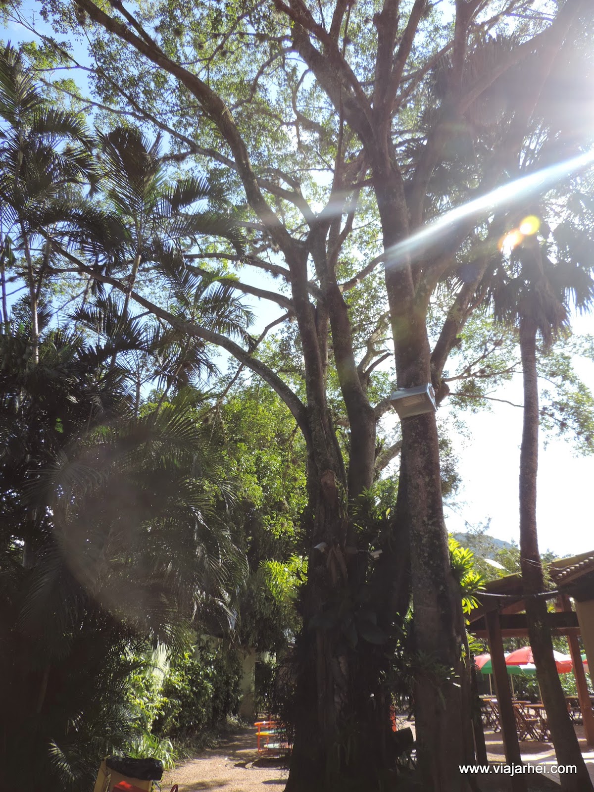 Vargem Grande com crianças: uma delícia de passeio off Rio | Viajar hei ...