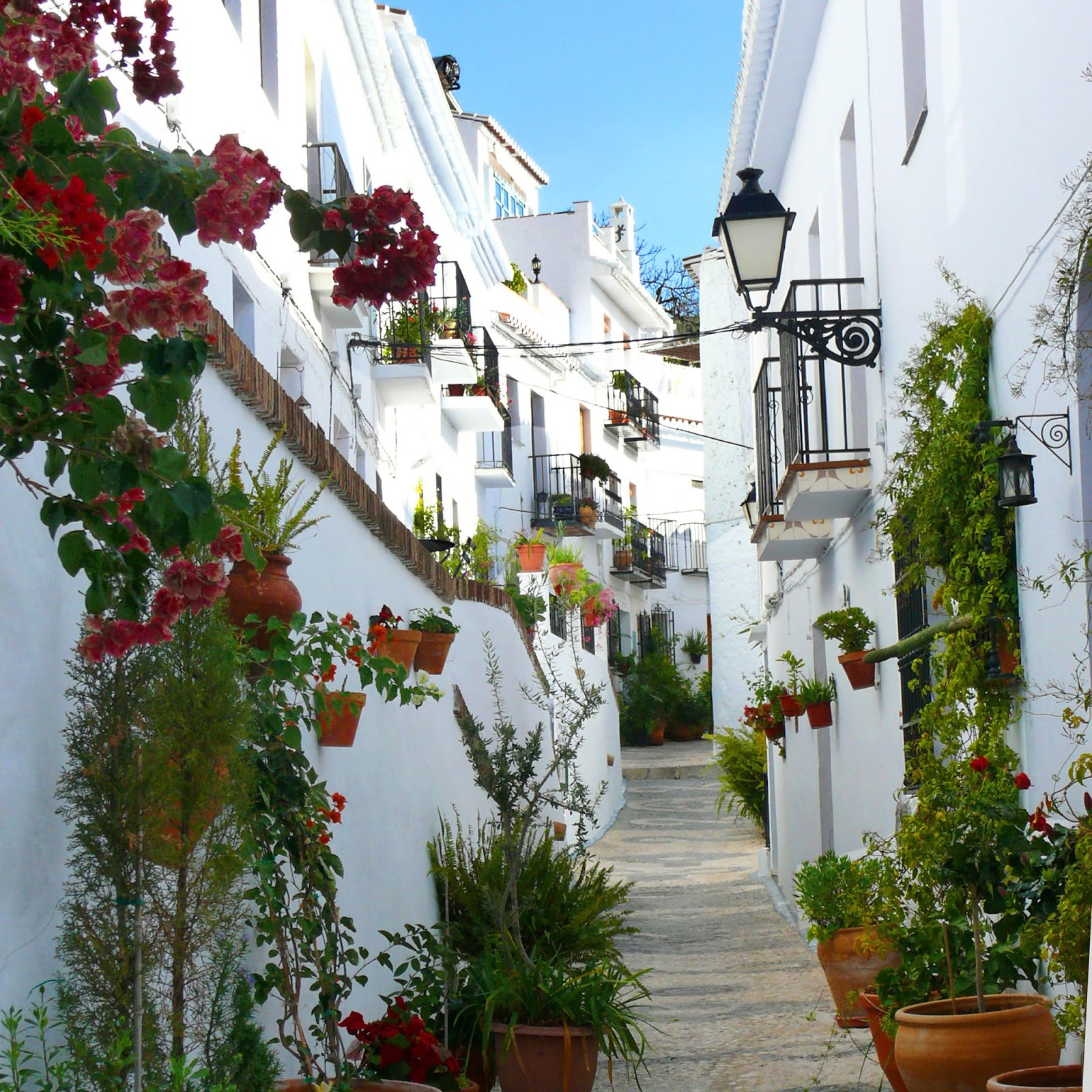 AidiGR: Frigiliana (Málaga)