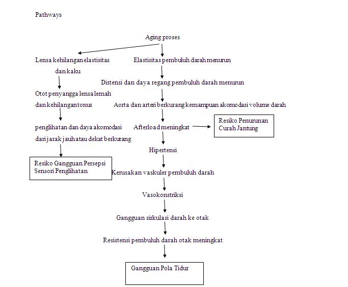 pathway penyakit hipertensi