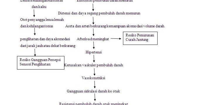 pathway penyakit hipertensi