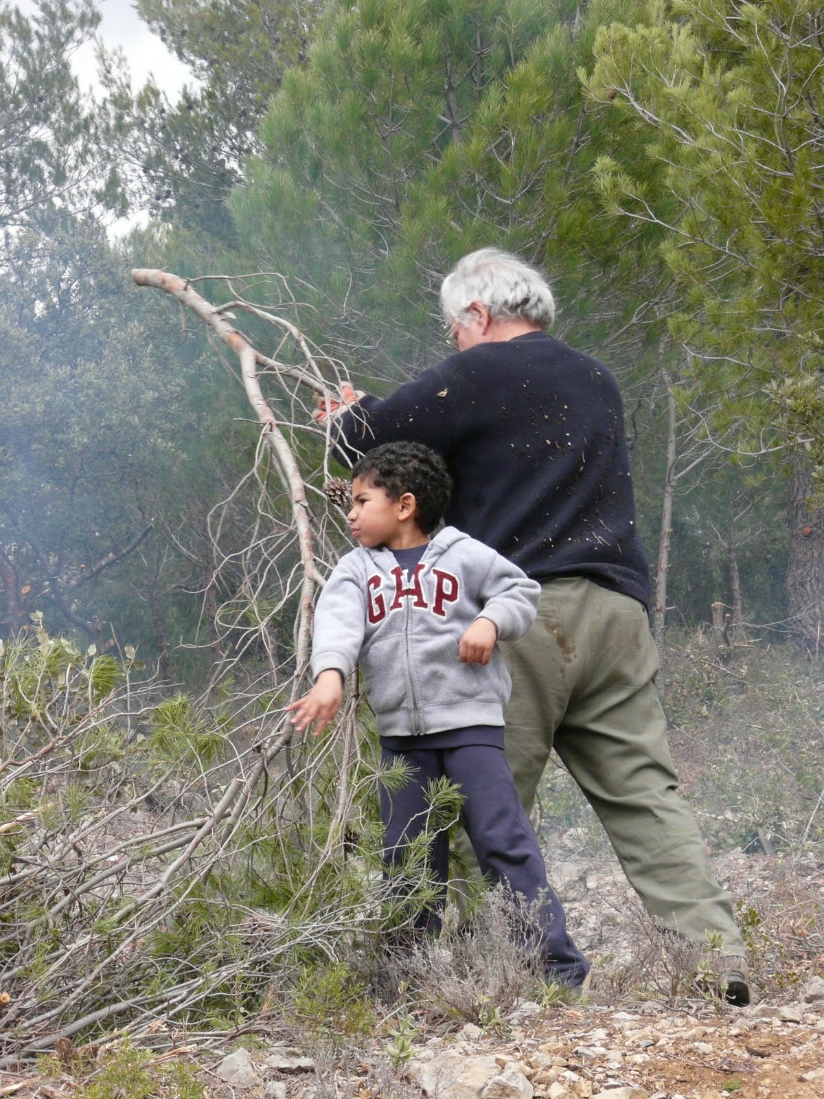 Une forêt en Provence: Travailler