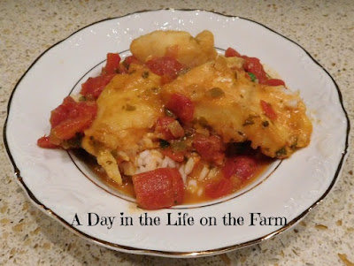 A Day in the Life on the Farm: Indian Cod Curry for #FishFridayFoodies