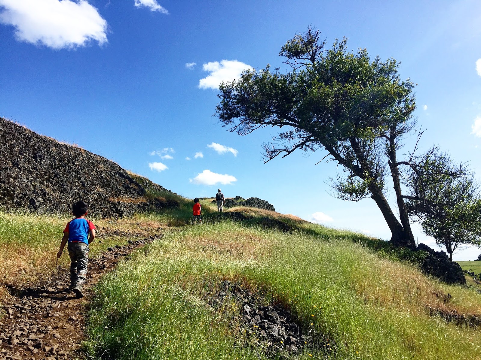 Run-Hike-Play: North Table Mountain Ecological Reserve Hike with the Fam
