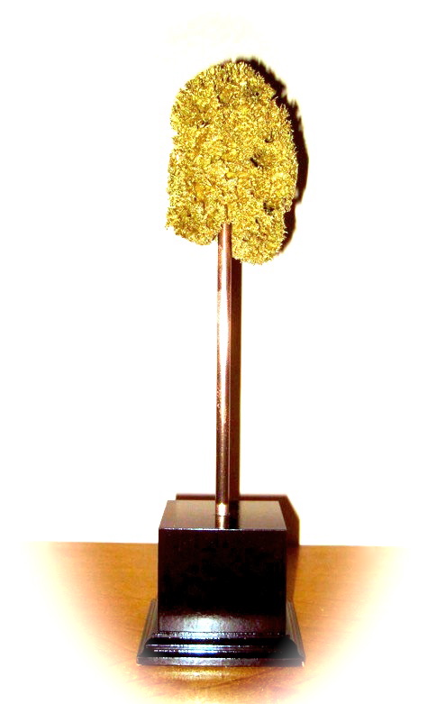 History Mysteries of Caroline Lawrence: Golden Sponge-stick Winners 2012