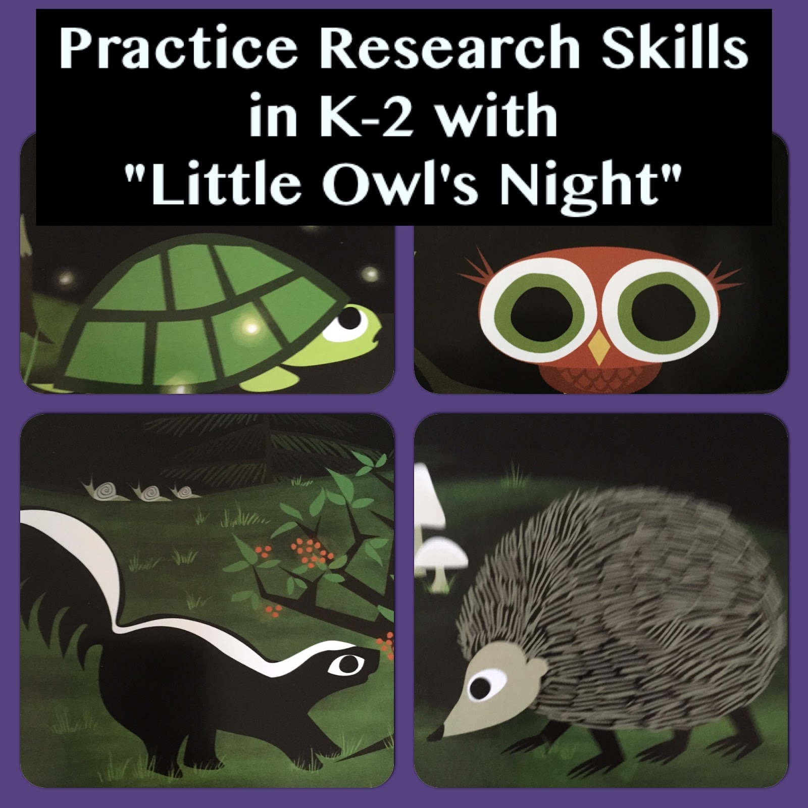 My Life in Picture Books...: "Little Owl's Night" by Divya Srinivasan
