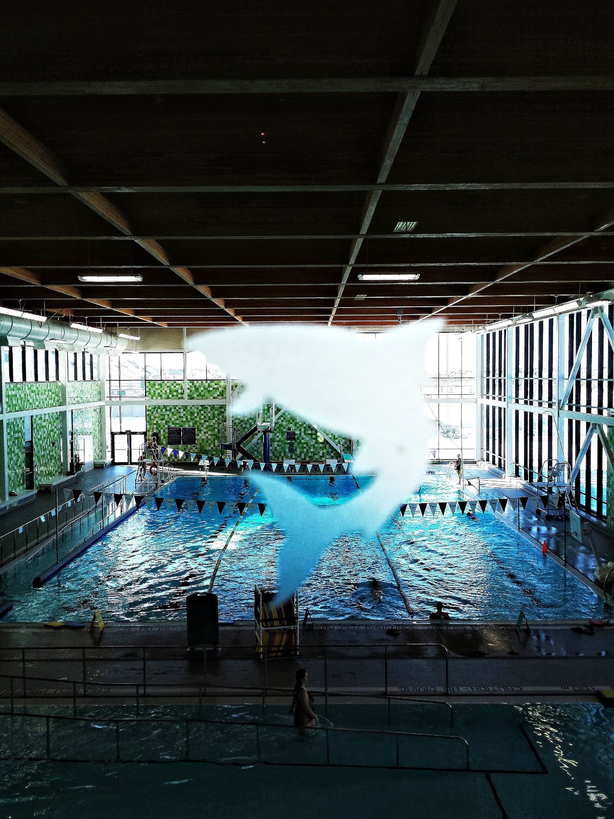 The Brown Knowser: Minto Recreation Complex