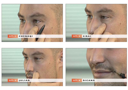 Acupuncture Points Locations - The Stomach channel | Acupuncture Treatment