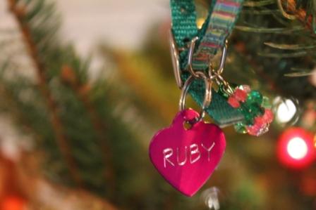 Whiskers In the Window: Happy Birthday Ruby Roo!