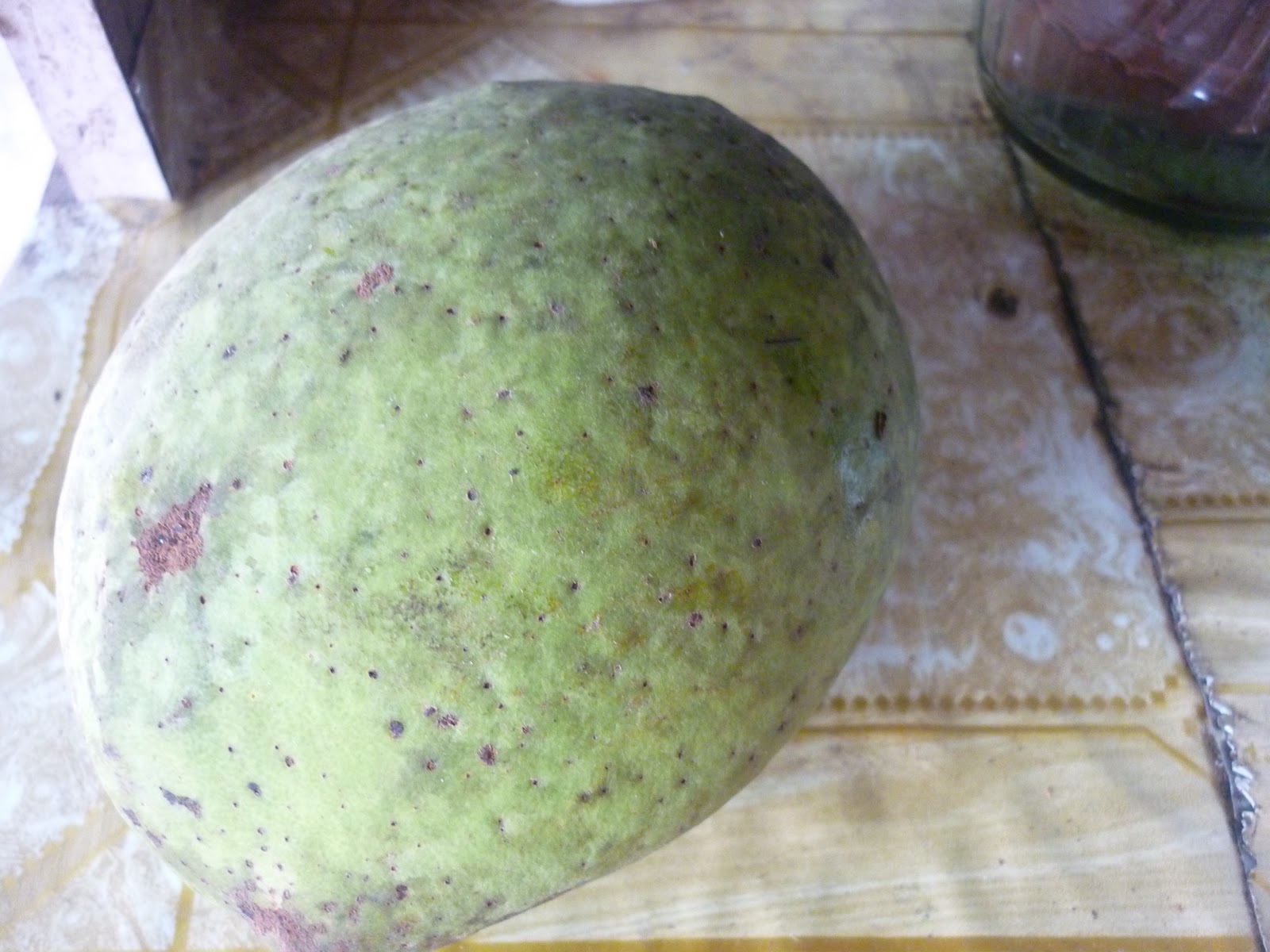 periuk cidda....: KERABU BUAH MACANG (BACHANG)