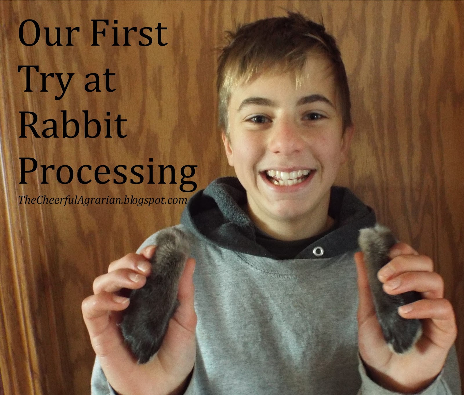 The Cheerful Agrarian: Our First Try at Rabbit Processing