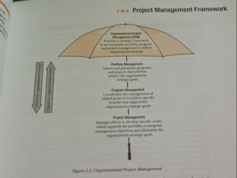 Organizational Project Management OPM NT s PMP Journey Organizational Project Management OPM NT s PMP Journey