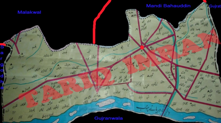 Tariq Imran: Phalia Especial