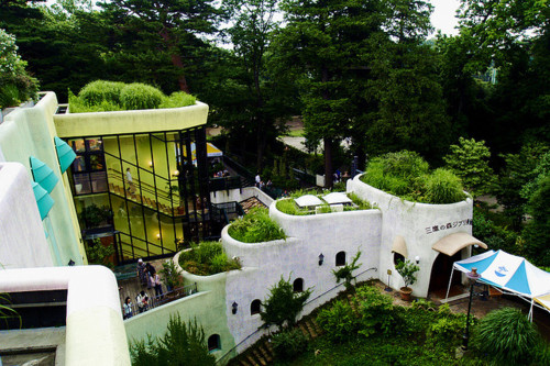 Totoro: Totoro Museum