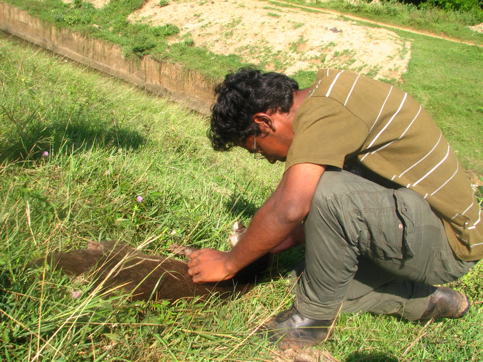 The Young Biologist: How to become a Biologist