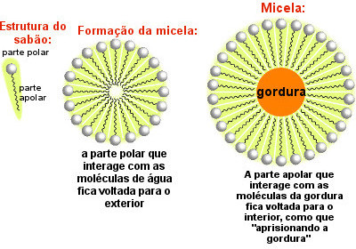 Nutrição Acessível: INTRODUÇÃO AO METABOLISMO DOS LIPÍDIOS