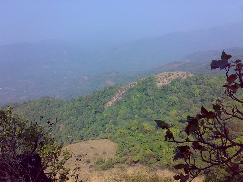 KERALA PHOTOS: Payyanur