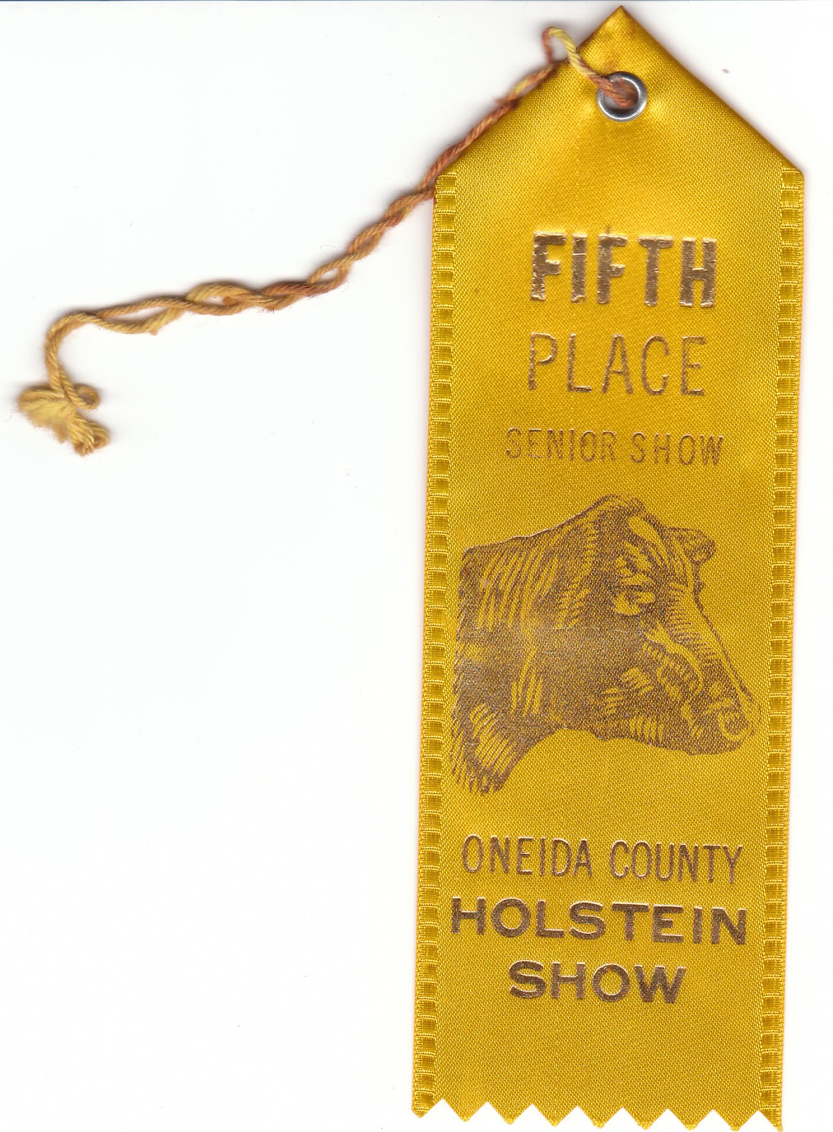 View from the Birdhouse: May 1, 2012