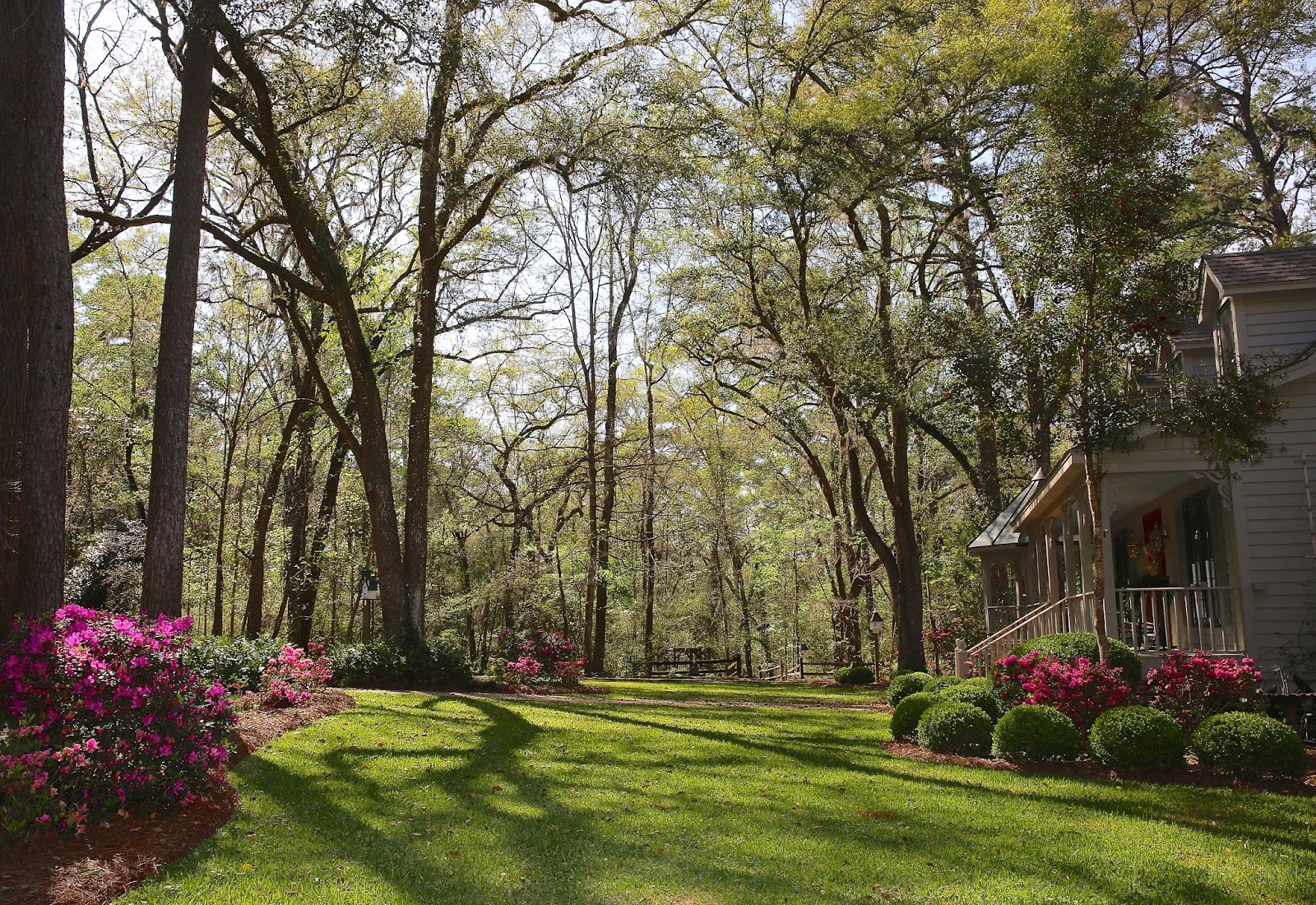 Sweet Southern Days: First Day Of Spring - March 2016