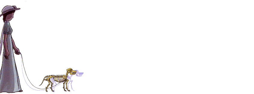 Ciudad Escrita.: La Dama de los Perritos y El Descabezado de Sabaneta.