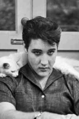 Las Mascotas de Elvis Presley | ENTRE EL CAOS Y EL ORDEN MAGAZINE