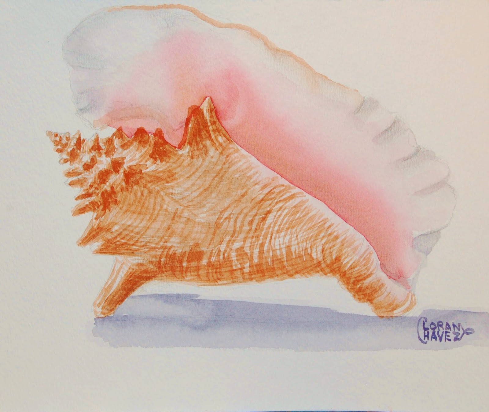 Coastal Art ~ Loran Chavez: Queen Conch
