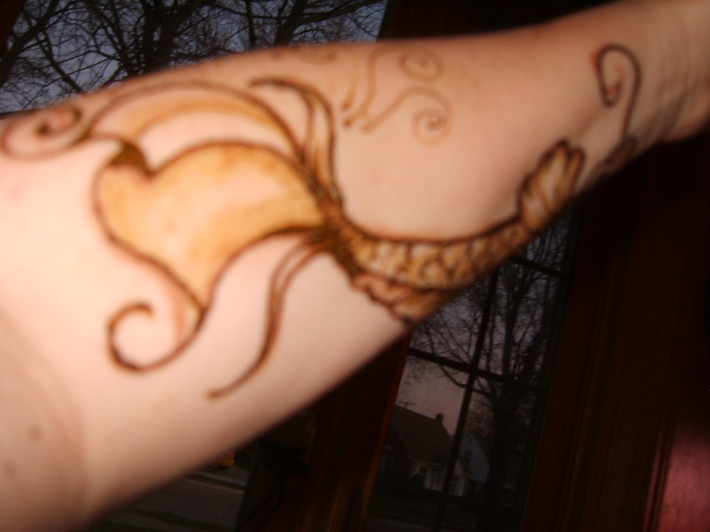 En Gedi Henna: Koi Fish Henna