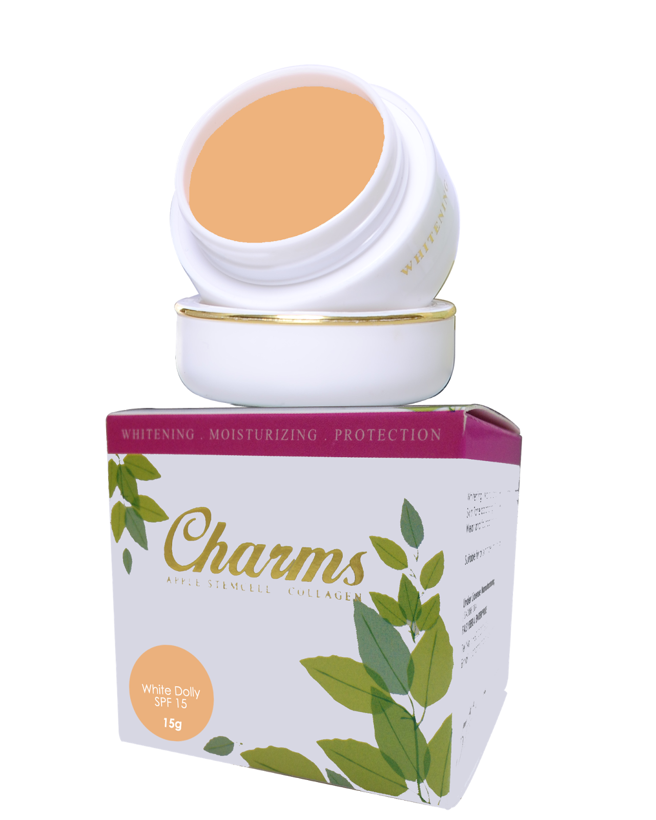 Charms Foundation Malaysia