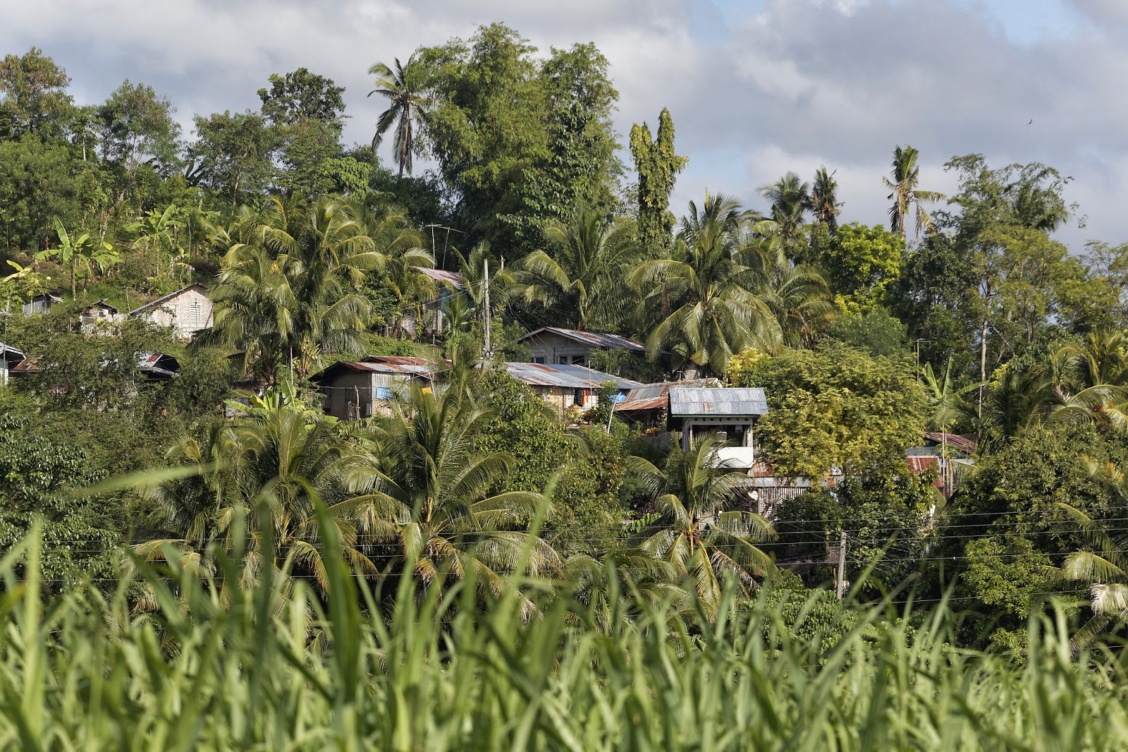 Blog de Pierre ASSUS