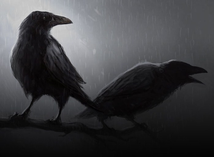 Imagenes del cuervo - Imagui