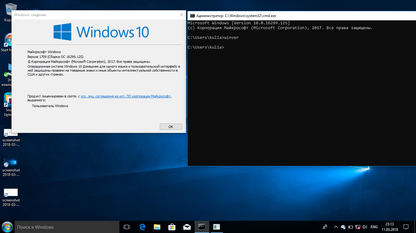Microsoft Windows 10 Home Single Language 10.0.16299.125 Version 1709 ...