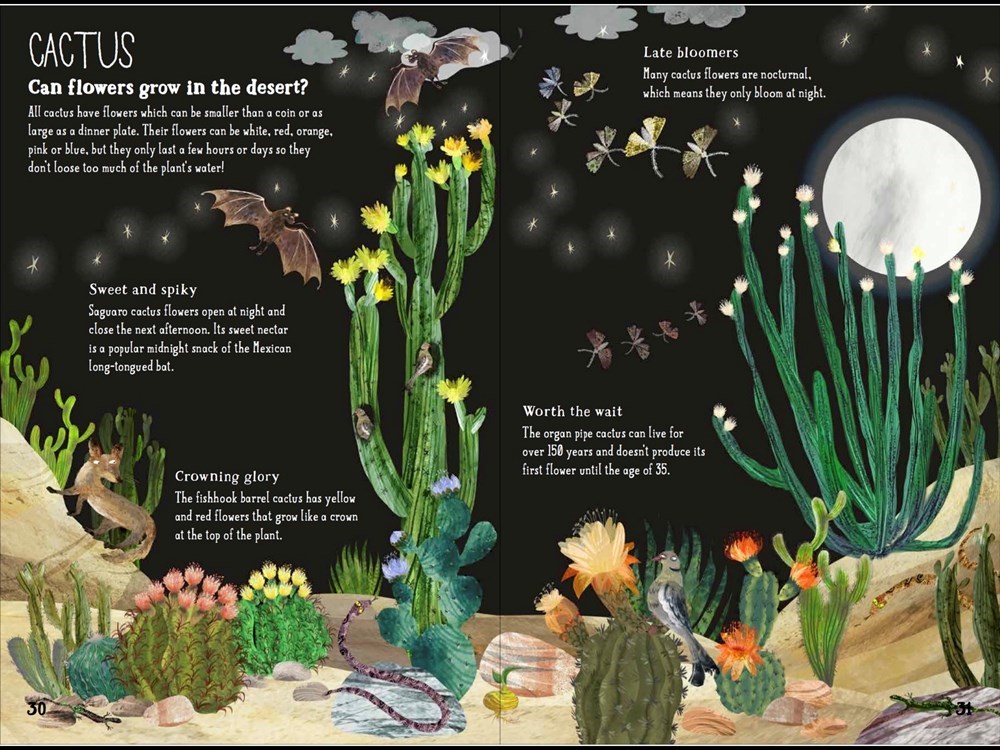 Let's Talk Picture Books: Let's Talk Illustrators #144: Yuval Zommer