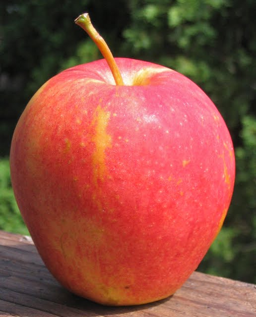 Sonya (Nevson) - Adam's Apples