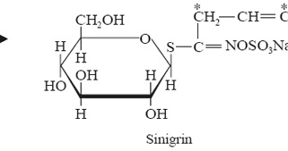 Biosynthesis of Thioglycosides