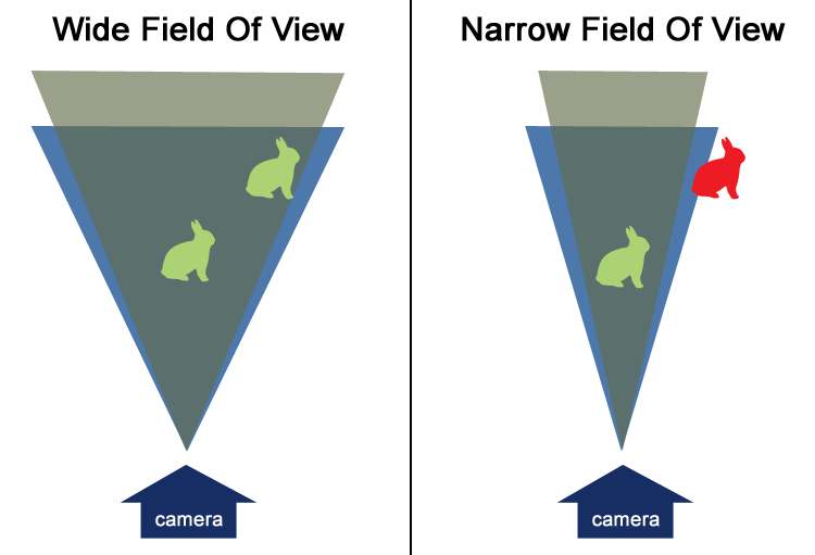 Remote Camera Trap - South Africa: Camera Trap Basics