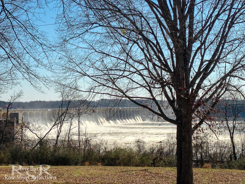 Rose Street Reflections: The Shoals Area