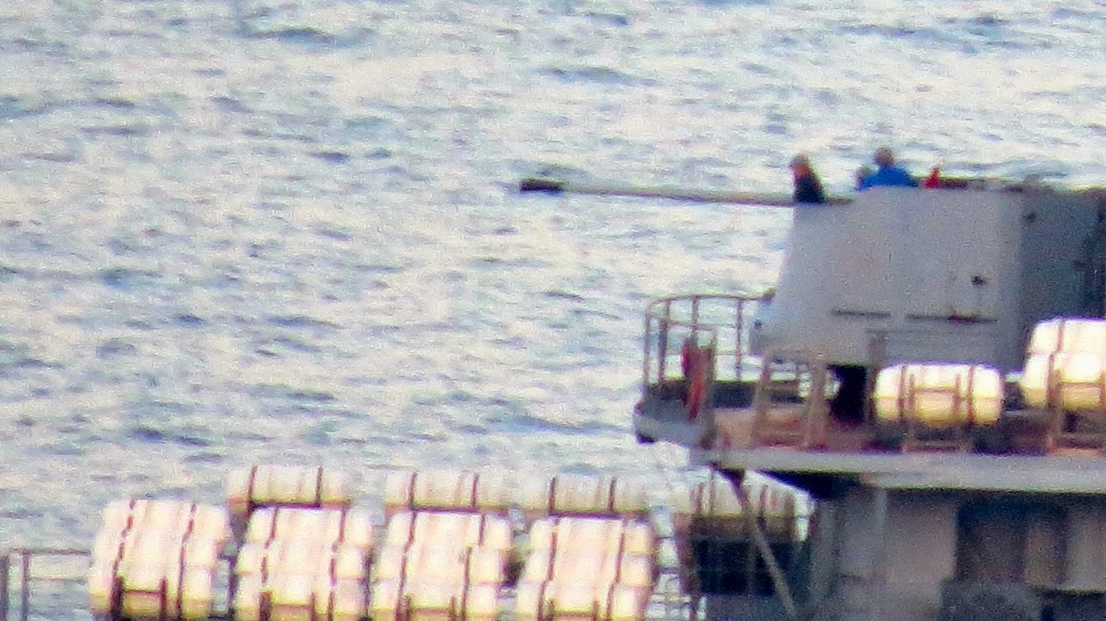 WARSHIPS ON THE BOSPHORUS: 150 SARATOV, Alligator class large landing ship