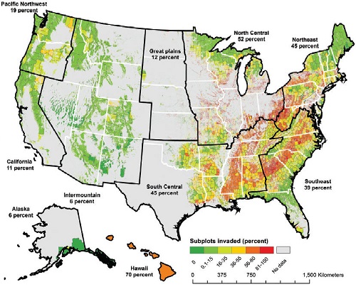 Central Pennsylvania Forestry: Researchers Map the Invasion-Intensity ...
