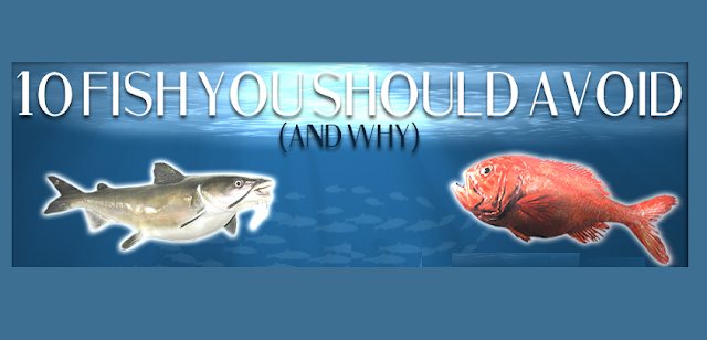10 Fish You Should Avoid And Why [Infographic] - Visualistan