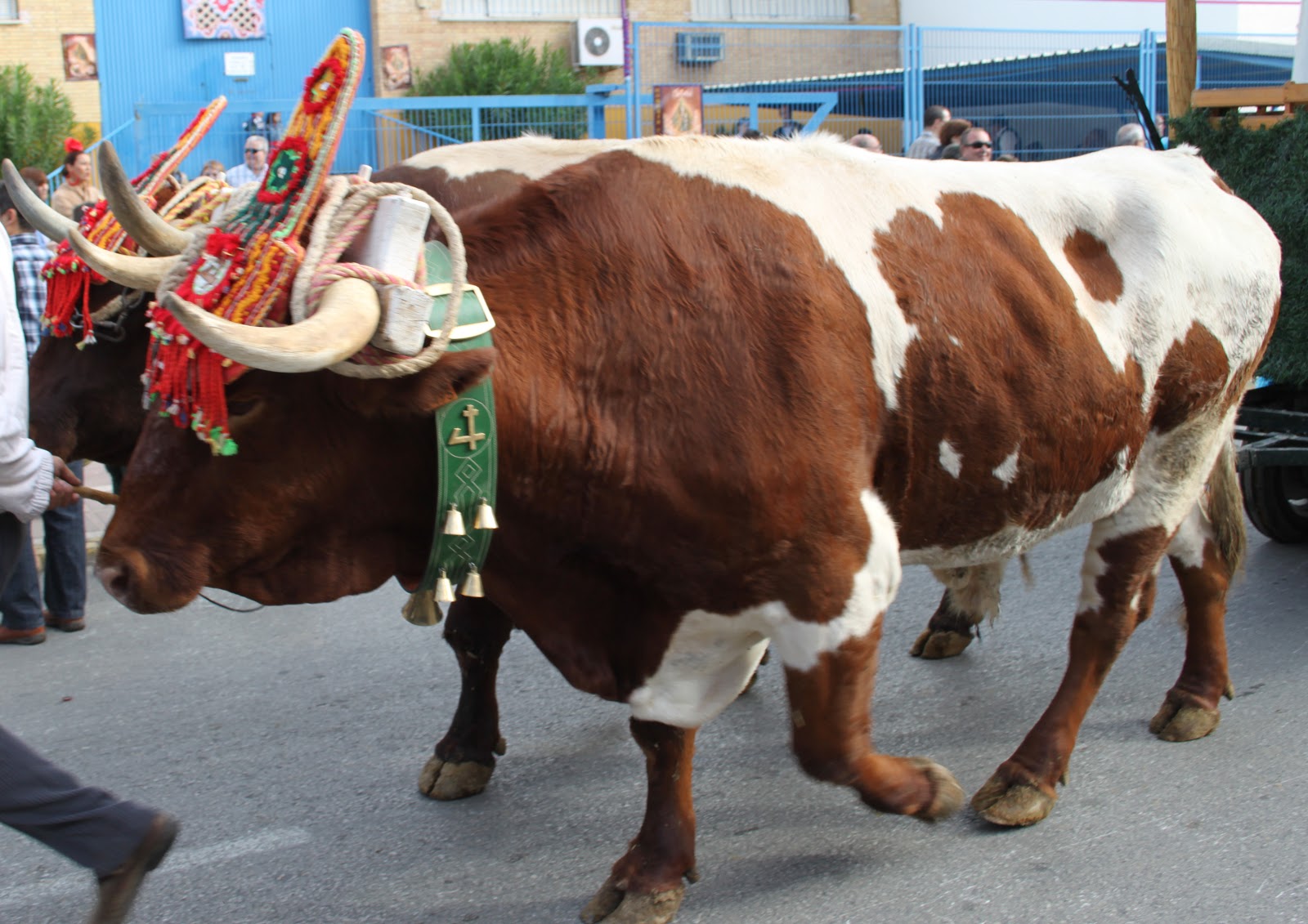 ROCIO OLIVARES. EL AULA DE PT.: octubre 2012
