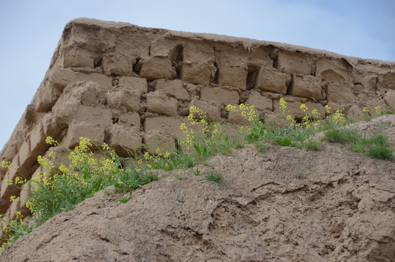 Suitcase and World: Visiting the Ruins at Old Nisa.