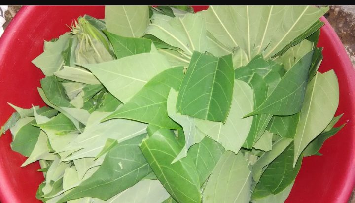 Kisamvu Cassava Leaves Recipe