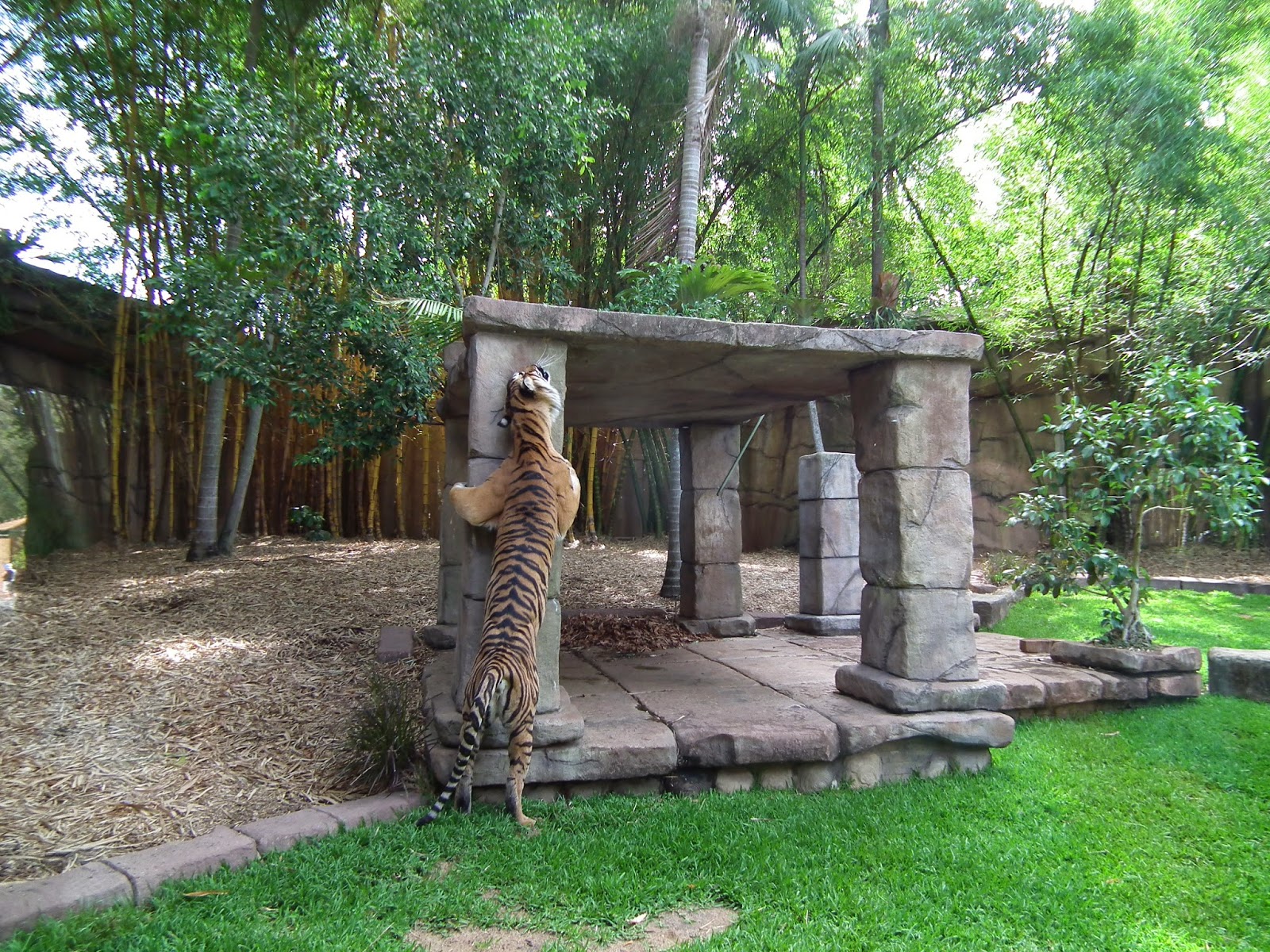 My Mid-Twenties Gap Year : Australia Zoo (Steve Irwin Zoo)