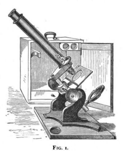 19th Century Historical Tidbits: The Microscope