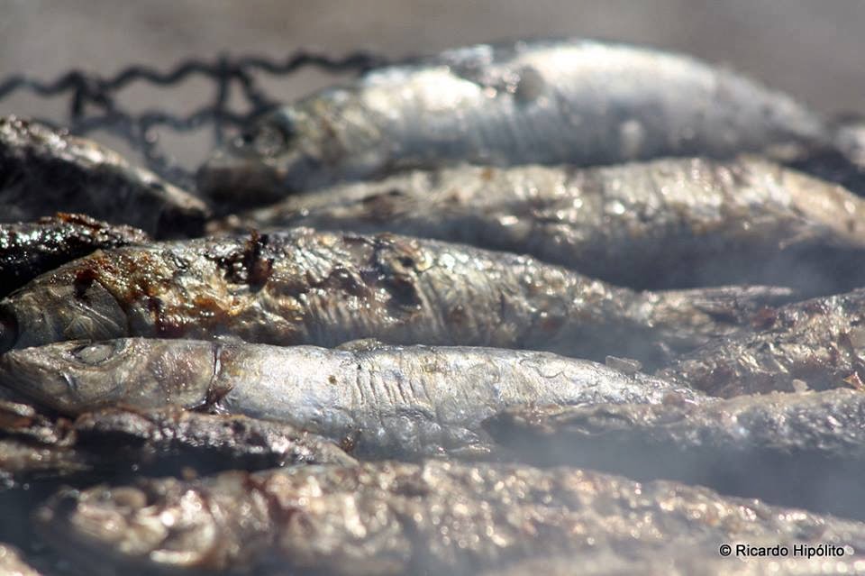 .: Miga fervida ou lapardana