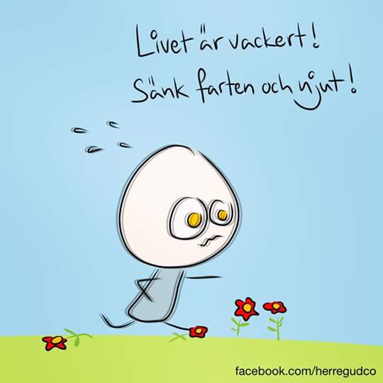 När kroppen kraschar: Herregud & co