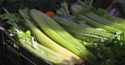 Judy Ranelli's DangerBlog: Cardune/Cardoon recipe