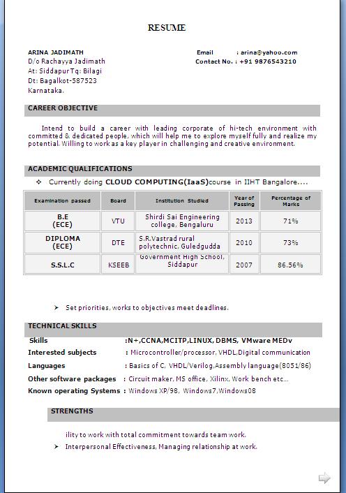 Resume Header Examples