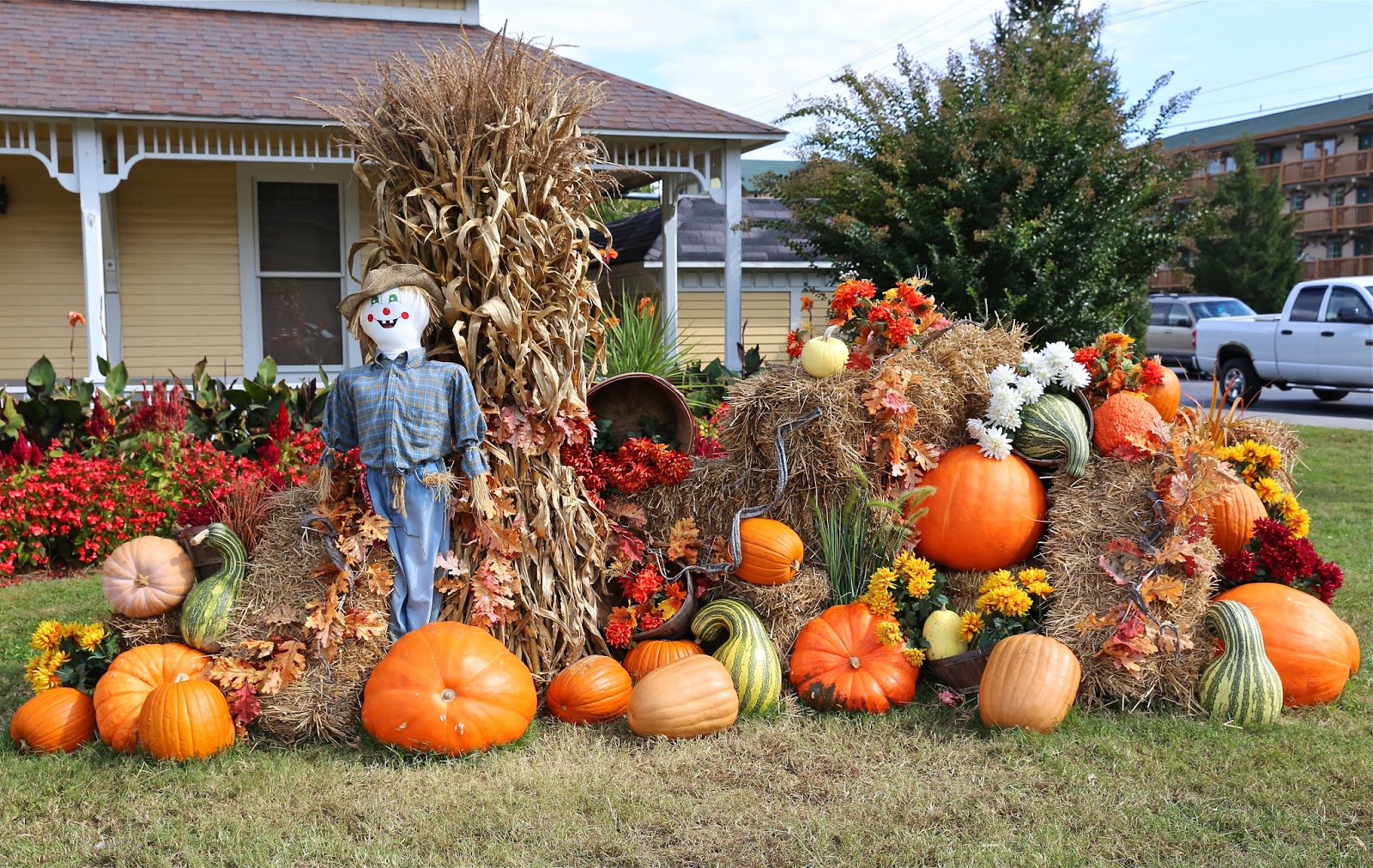 Sweet Southern Days: Fall in the Foothills Parkway, Pigeon Forge and ...