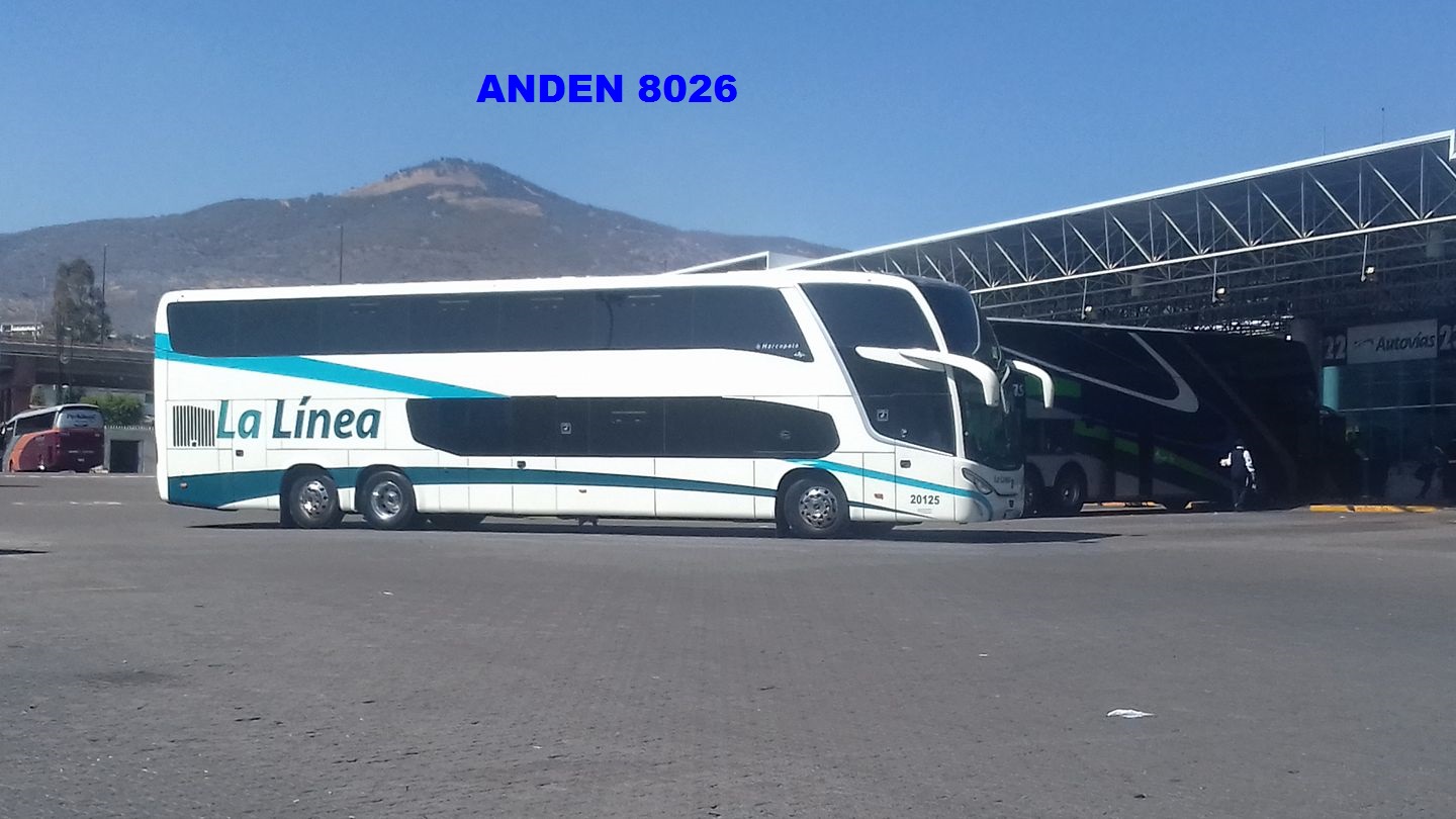 ANDEN 8026 EL LADO AMABLE DEL AUTOBUS: 2391 LA LINEA AUTOBUSES DE ...